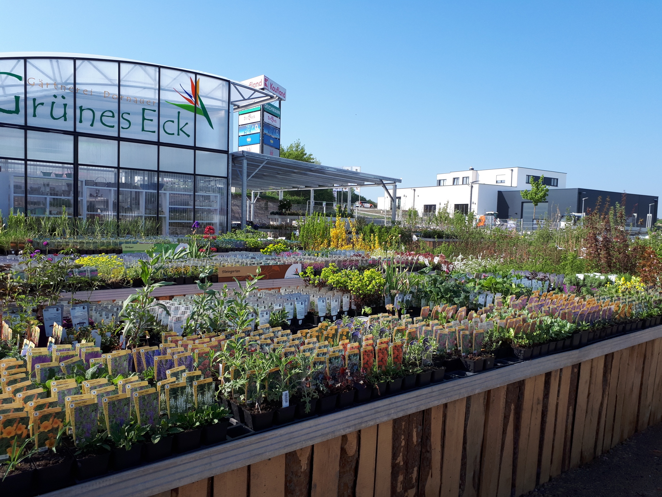 Grünes Eck – Gärtnerei Dornauer